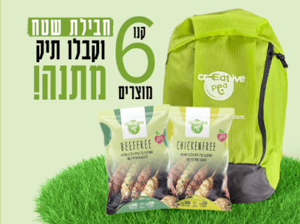 חנות - Creative pea Store